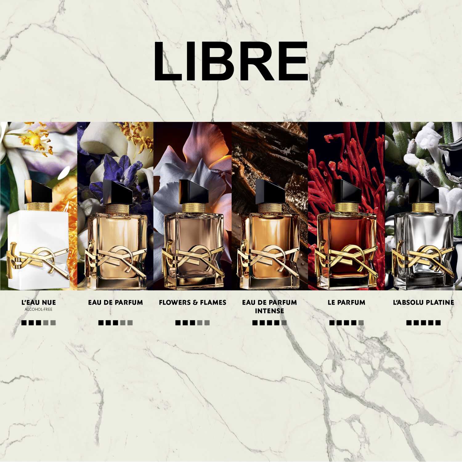 Libre L'Eau Nue - Parfum von YVES SAINT LAURENT ≡ SEPHORA